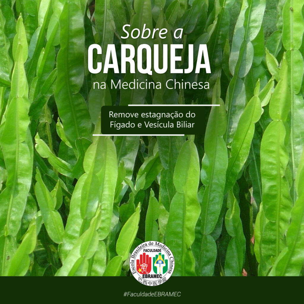 Dica de Erva Brasileira na Fitoterapia: A Carqueja - EBRAMEC